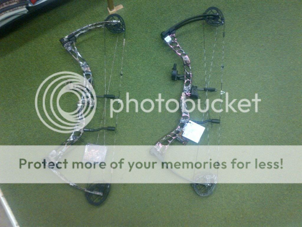 Strother Wrath WOW!! | Archery Talk Forum