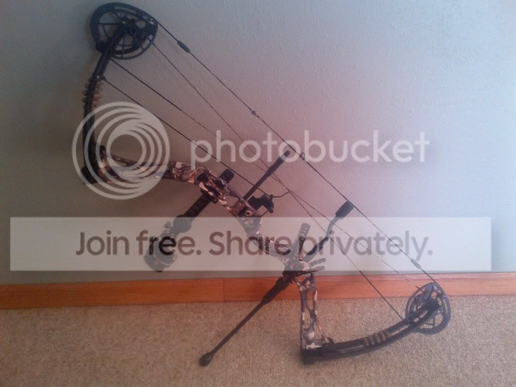 Strother Archery Bow pics! | Archery Talk Forum