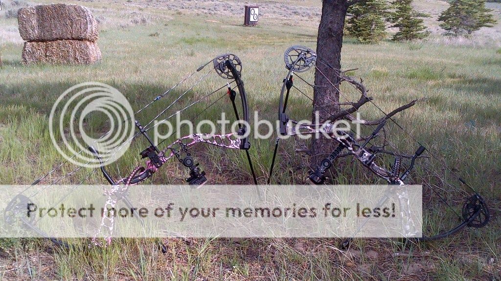 Strother Rush owners... | Archery Talk Forum